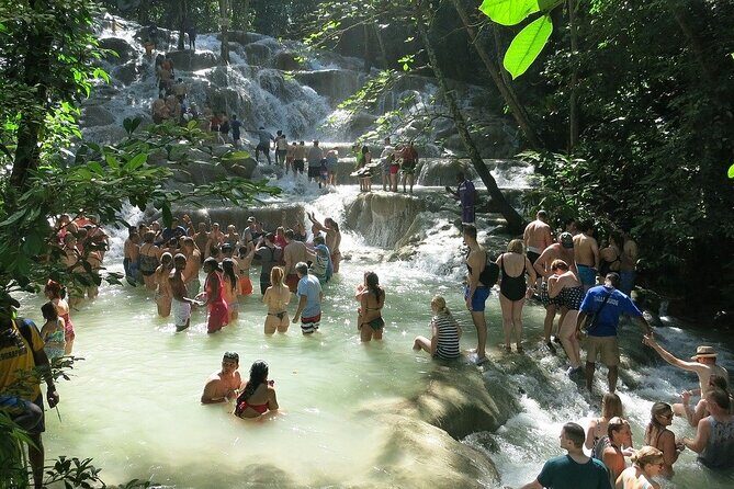 Private Dunn River Falls Tour From Negril - Transportation and Duration