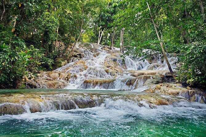 Private Dunn River Falls Tour From Negril - Value and Cost Analysis