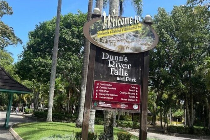 Private Dunn's River and Blue Hole Experience from Montego Bay - Key Points