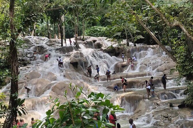 Private Dunn's River and Blue Hole Experience from Montego Bay - The Sum Up