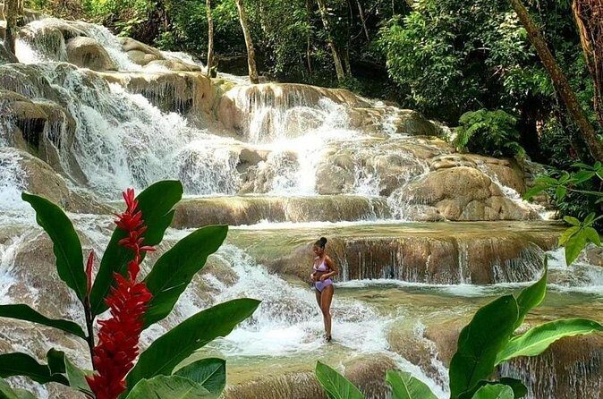 Private dunns river blue hole and luminous lagoon tour - Why Choose This Tour? The Strengths