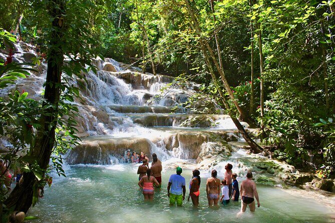 Private Dunn's River Falls Adventure from Montego Bay - What Makes This Tour Special?