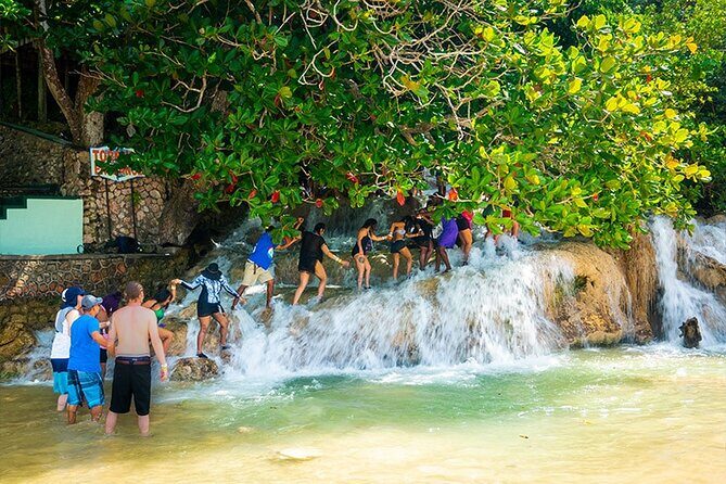 Private Dunn's River Falls Adventure from Montego Bay - Transportation and Practicalities