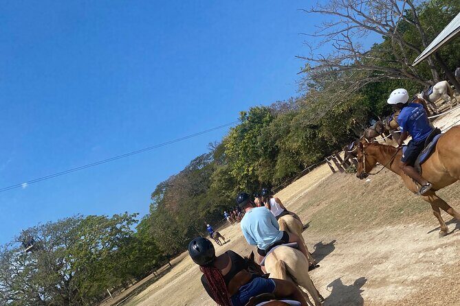 Private Dunns River Falls and Horse Back Riding - Introduction: What You Need to Know About This Tour