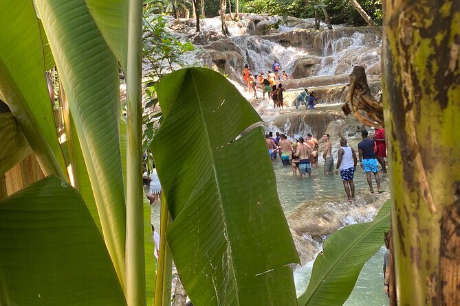 Private Dunns River Falls and Horse Back Riding - Transportation and Logistics