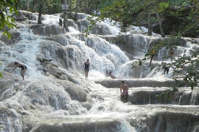 Private Dunns River Falls and Horse Back Riding - Final Thoughts: Is This Tour Right for You?