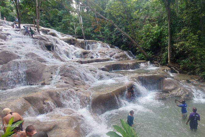 Private Dunn's River Falls Tour from Montego Bay - Key Points