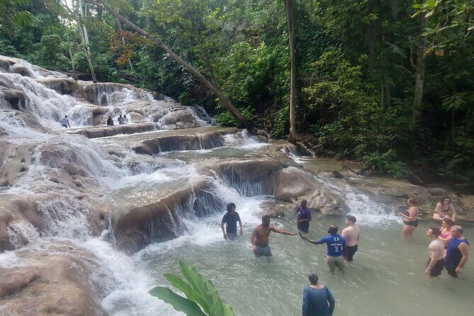 Private Dunn's River Falls Tour from Montego Bay - Authentic Feedback from Visitors