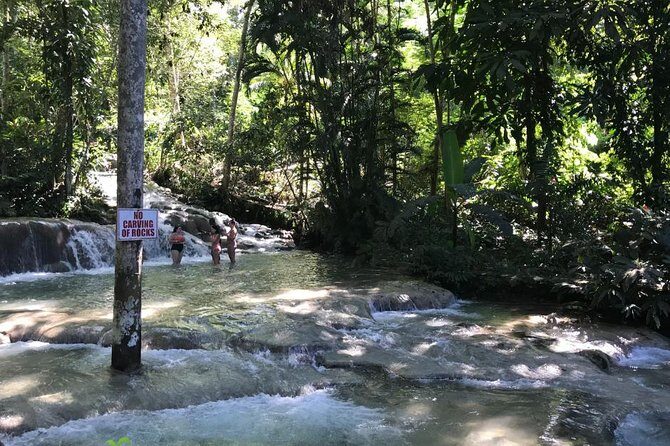 [PRIVATE] Dunn's River Falls with Entrance Fees - Final Thoughts: Who Will Love This Tour?