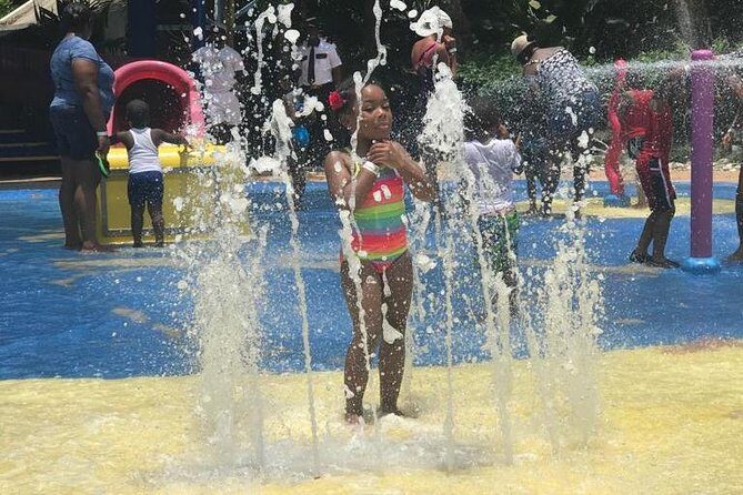 [PRIVATE] Dunn's River Falls with Entrance Fees - FAQ