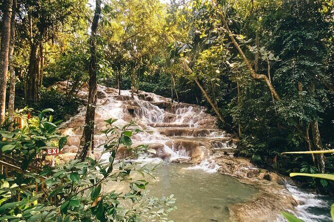 Private Dunns River Tour from Falmouth Cruise Ship Pier - The Value of a Private Tour