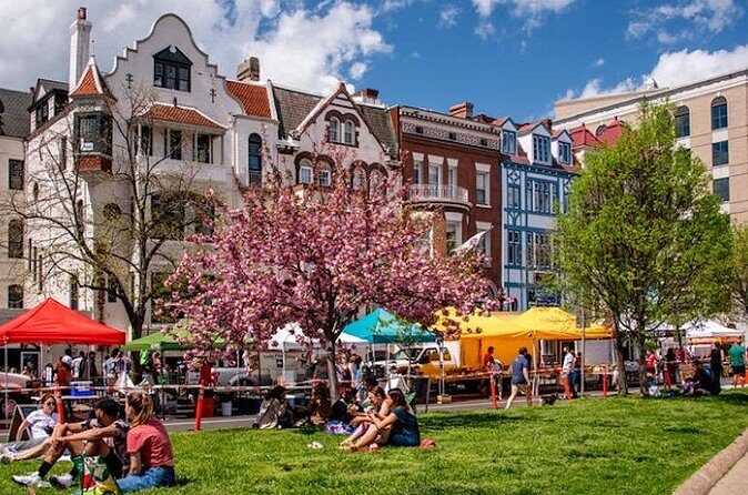 Private Dupont Circle Walking Tour - Authenticity and Reviews