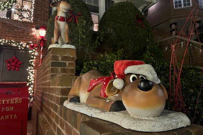 Private Dyker Heights Christmas Lights Tour with Dumbo Stop - Key Points
