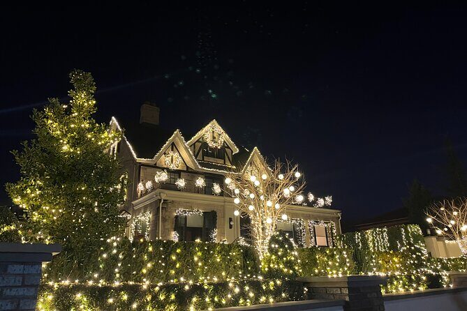 Private Dyker Heights Christmas Lights Tour with Dumbo Stop - Practical Details