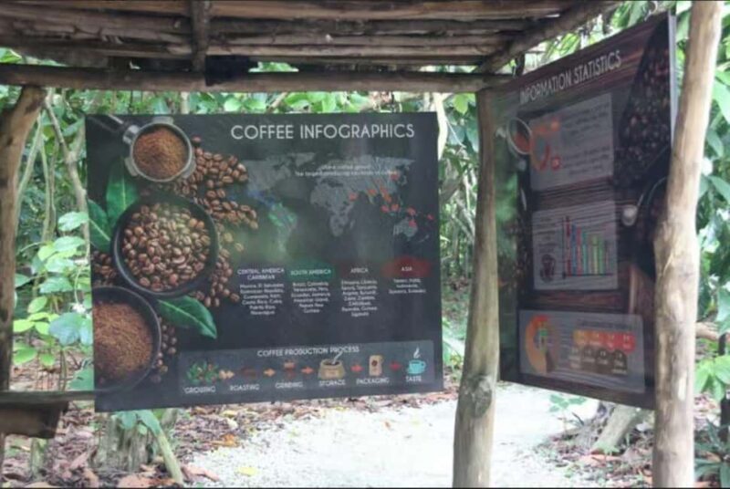 Private E-Bike Adventure Macao, El Salado, Ceiba & El Caño - An In-Depth Look at the Tour