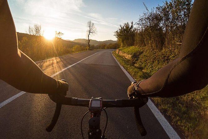 Private E-bike Tour in Chianti from San Gimignano - The Wine Tasting and Lunch
