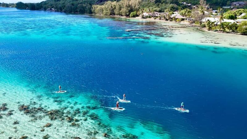 Private E-Board Tour of Moorea Lagoon - Personalized Experience and Flexibility