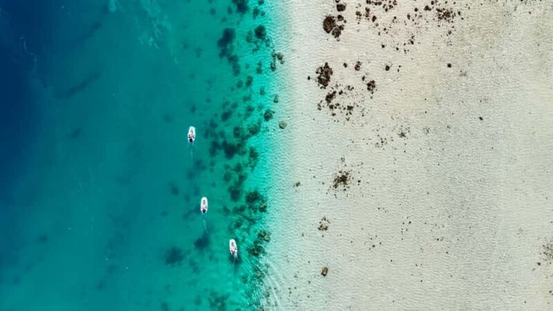 Private E-Board Tour of Moorea Lagoon - What Do the Reviews Say?