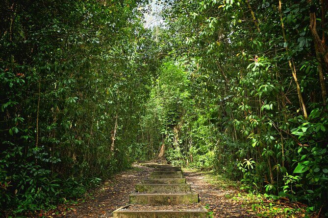 Private East Maui Hiking Experience - Introduction: An Authentic Nature Escape on Maui