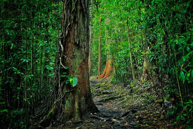 Private East Maui Hiking Experience - Key Points