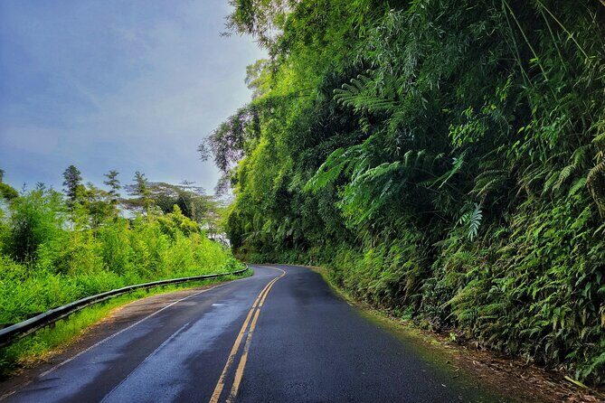 Private East Maui Hiking Experience - Who Will Love This Tour?