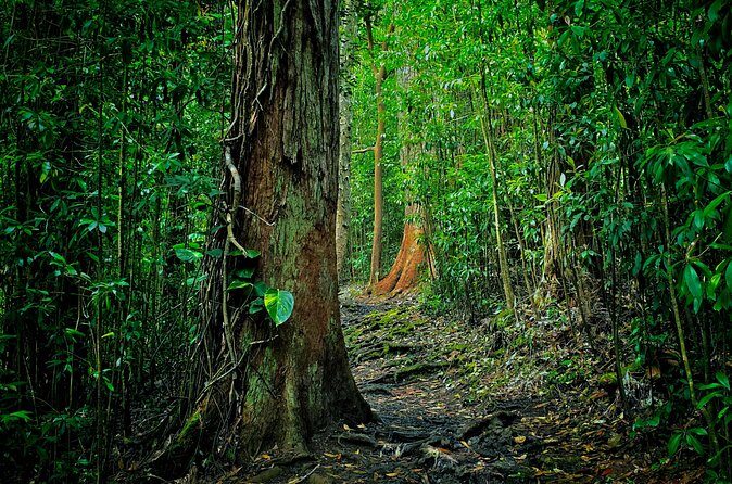 Private East Maui Hiking Experience - The Sum Up: A Quiet, Authentic Maui Experience