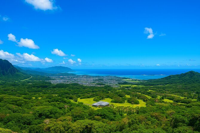 Private East Oahu Highlights Tour Byodo In Temple & Pali Lookout - Who Should Book This Tour?