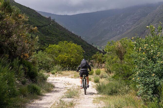 Private Ebike Tour through Serra da Estrela - Who Will Love This Experience?