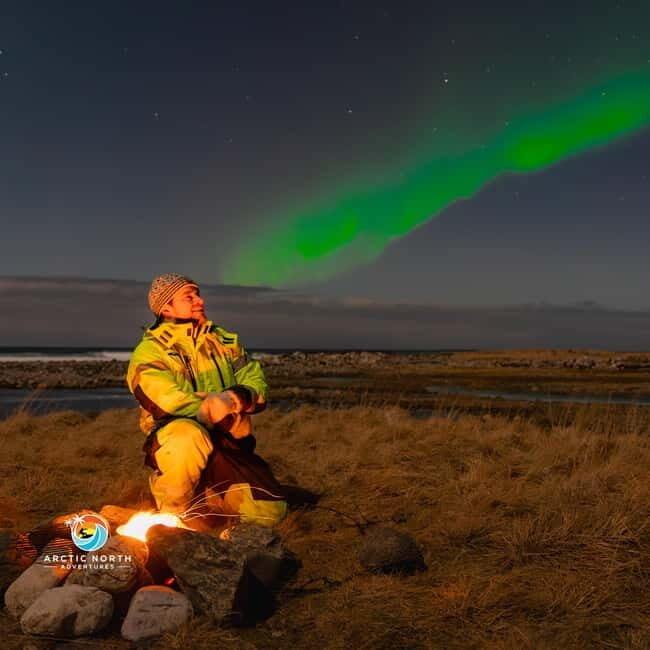 Private Eco Friendly Northern Lights Tour - Reliability and Comfort of Transportation