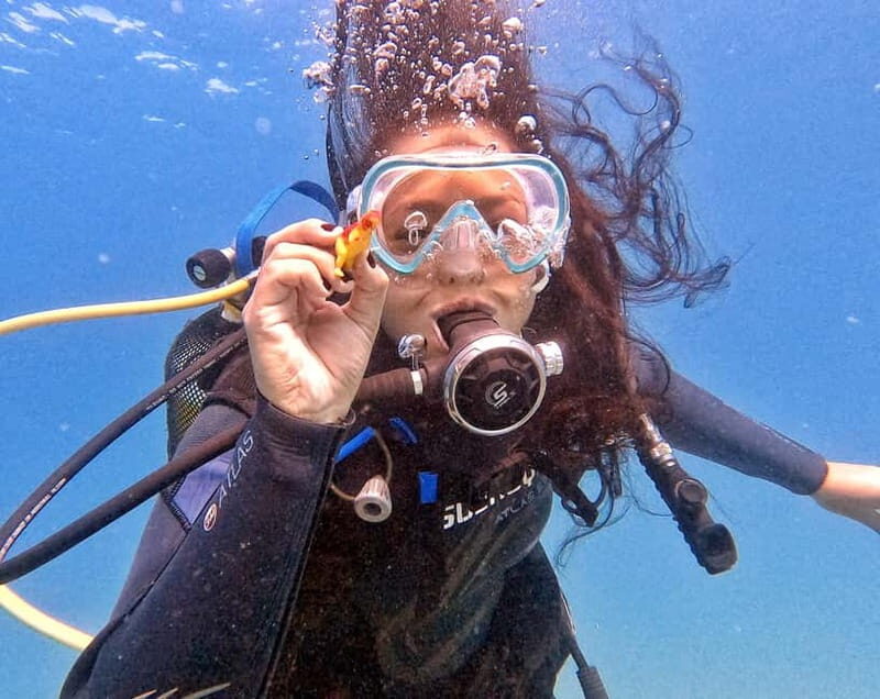 Private Eco Scuba Diving in Tenerife: no crowds and no rush - Key Points