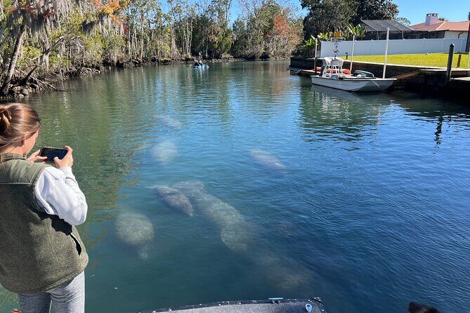 Private Eco Tour in Kings Bay Crystal River Florida - Key Points