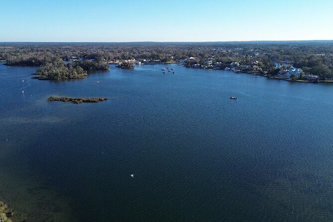 Private Eco Tour in Kings Bay Crystal River Florida - Meeting at Pete’s Pier Bait & Tackle