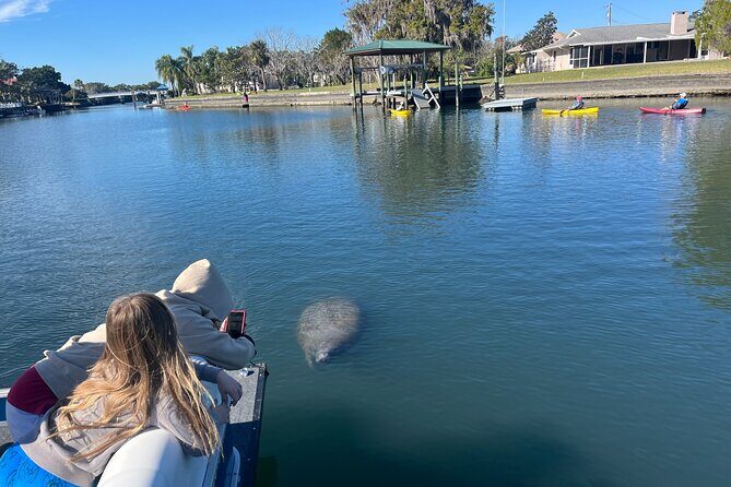 Private Eco Tour in Kings Bay Crystal River Florida - Practical Considerations and Tips