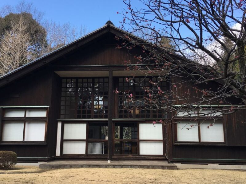 Private Edo-Tokyo Open Air Architectural Museum Tour - An In-Depth Review of the Experience