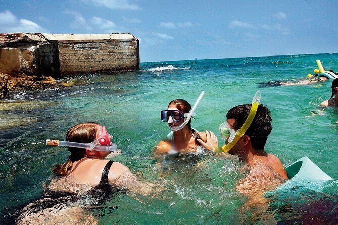 Private Egmont Key Excursion - Discovering Egmont Key: Why This Private Tour Stands Out