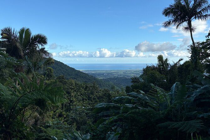 Private El Yunque Adventure  Hidden Waterfalls & El Toro Trail! - An In-Depth Look at the El Yunque Private Tour