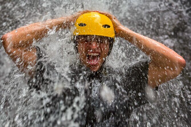 Private El Yunque Half-Day Tour with Transport - Key Points