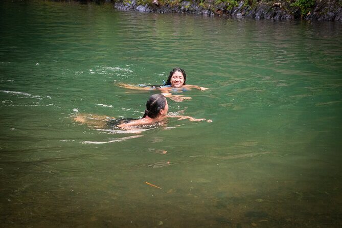 Private El Yunque Rainforest and Beach Tour for Cruise Ships - Who Should Consider This Tour?