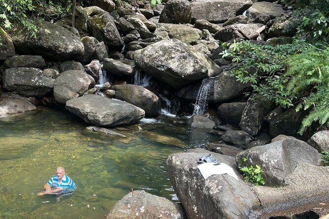 Private El Yunque Tour To Hidden Waterfall Remote Area - An In-Depth Look at the Tour Experience