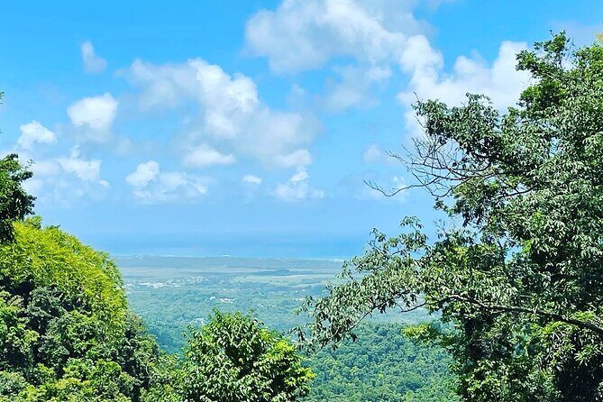 Private El Yunque Tour To Hidden Waterfall Remote Area - FAQs