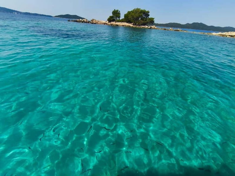 Private Elafiti Boat Tour- Visit Blue Cave and beach Sunj - The Allure of the Elafiti Islands and Surroundings