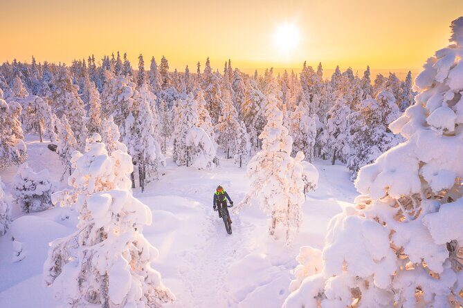 Private Electric Fat Bike Winter Tour in Rovaniemi - The Route and Stops
