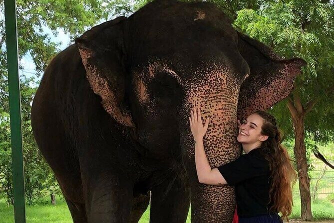 Private Elephant Sanctuary - Overview of the Experience