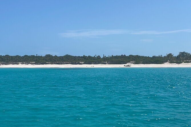 Private Eleuthera Island: Swim With Pigs, Turtles & Stingrays - Practical Tips for Travelers