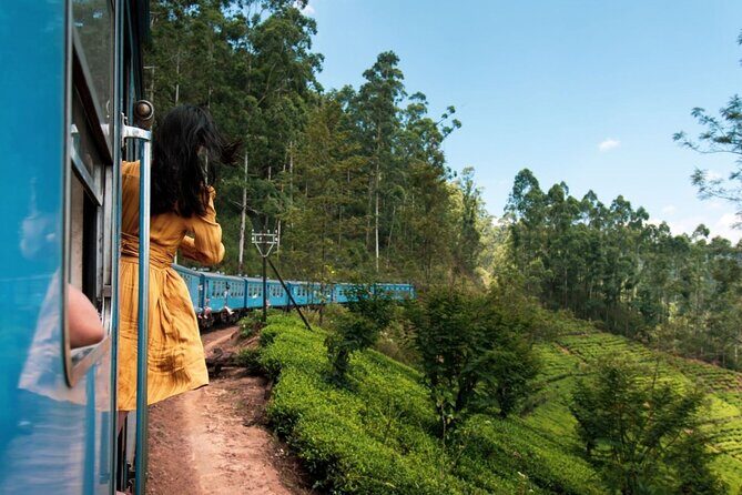 Private Ella Tour from Galle and Weligama with Meals Included - Introduction to the Ella Tour Experience