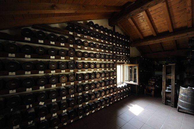 Private Emilia Romagna Food Tour Half Day - An In-Depth Look at the Emilia Romagna Food Tour Experience