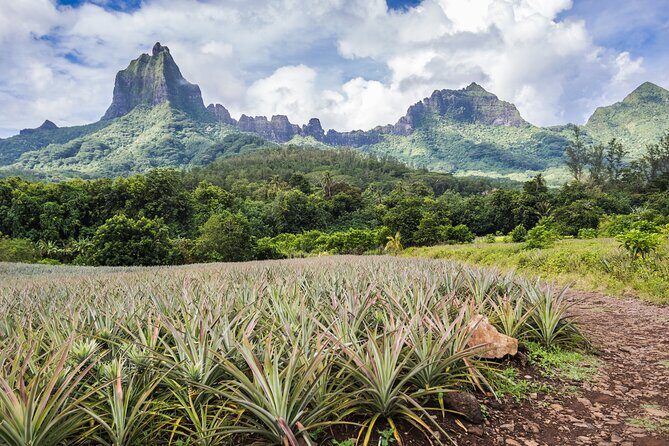 Private EN photo tour in Moorea, tour & workshop class - What’s This Tour All About?