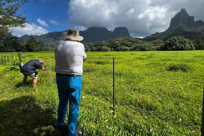 Private EN photo tour in Moorea, tour & workshop class - The Sum Up: Is This Tour Right for You?