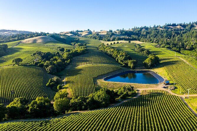 Private Enchanted Napa and Sonoma Wine Tour in SUV from SFO - FAQ