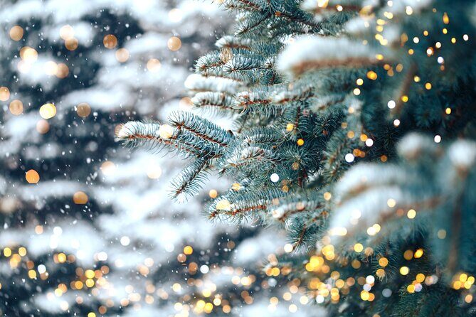 Private Enchanting Nashville Christmas Lights Tour - Who Will Love This Tour?